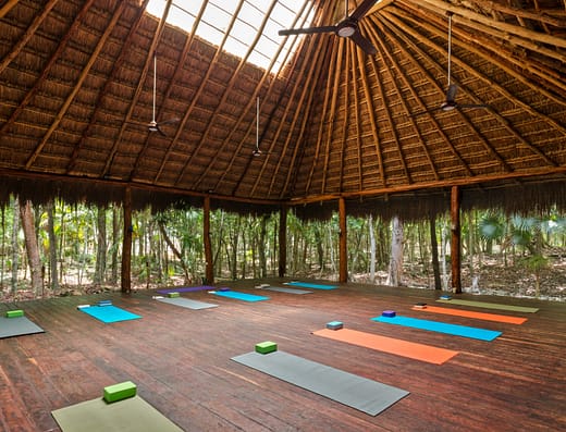 Al Marmoom Domes Eco Luxury in The Dubai Desert. - Thrive Voyager